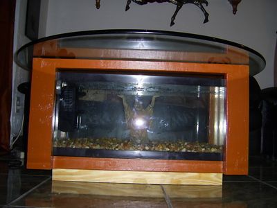 Table Top Aquarium : 8 Steps (with Pictures) - Instructables