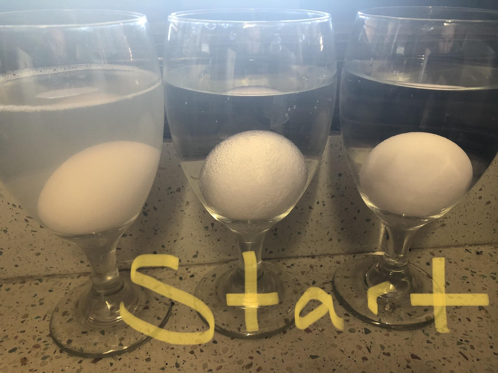 Naked Egg Experiment and Cleaning Hard Water Spots : 4 Steps (with ...