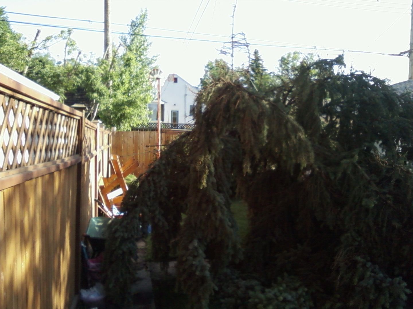 Restore a Backyard With Dead Soil (Before and After) : 9 Steps (with ...