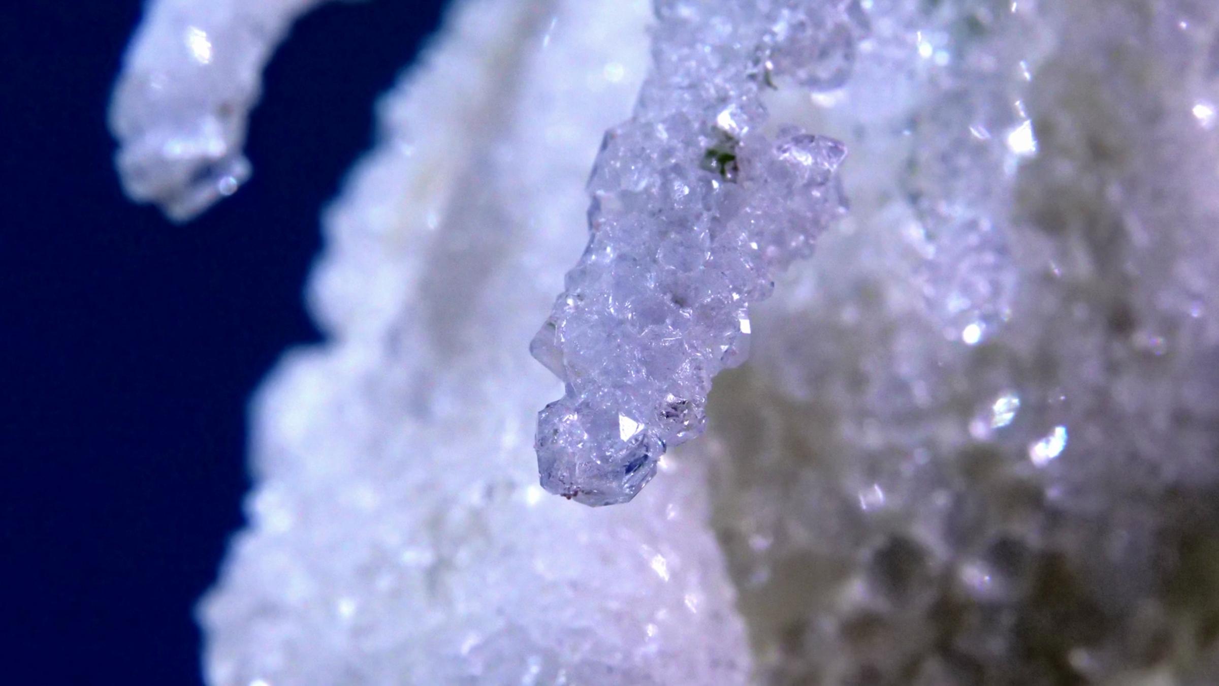 Flower Crystallization : 8 Steps (with Pictures) - Instructables