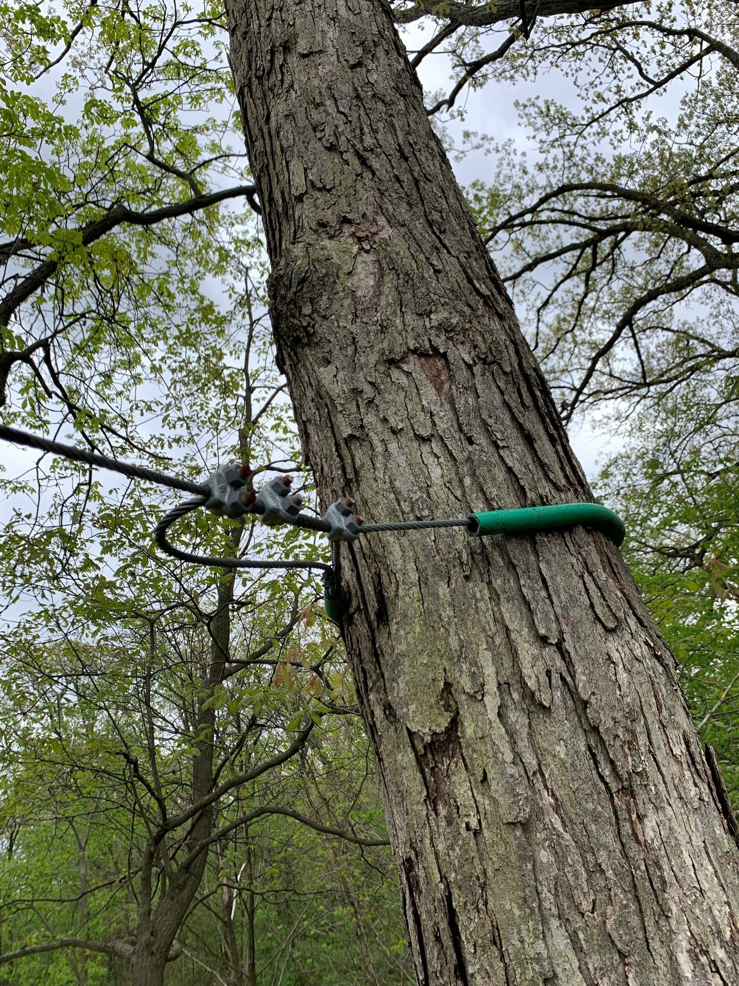 Extreme Backyard Zipline : 6 Steps (with Pictures) - Instructables