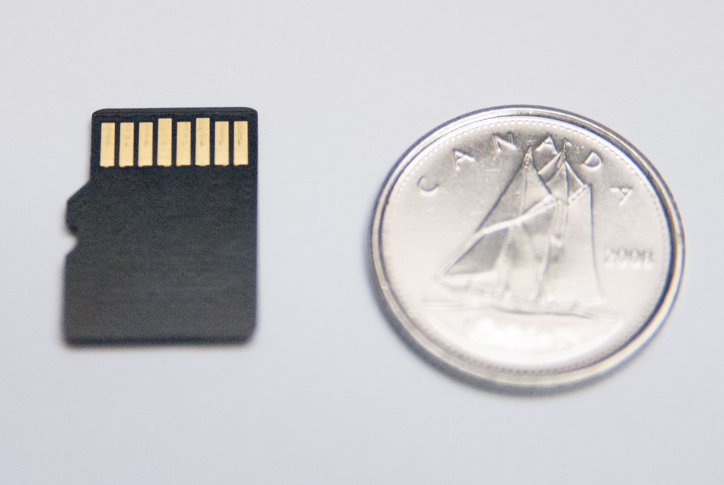 Installing a MicroSD Card in a Garmin Oregon 450 : 10 Steps - Instructables
