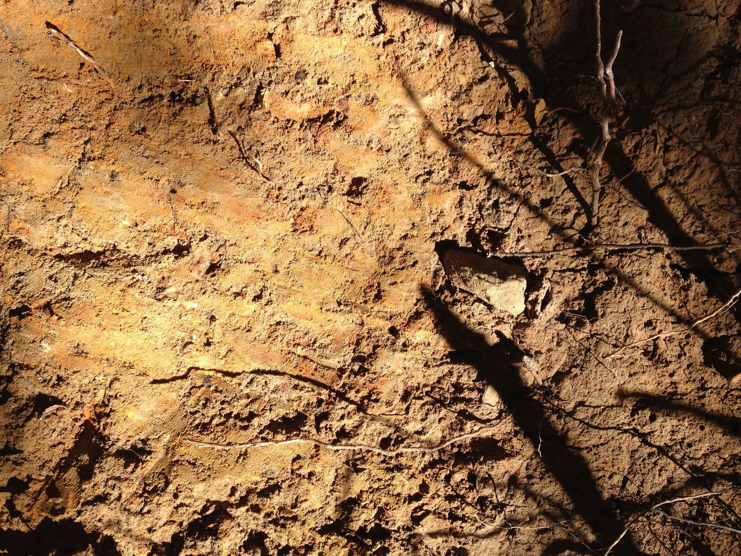 Harvesting Your Own Clay, Dirty But Delightful! : 22 Steps (with ...