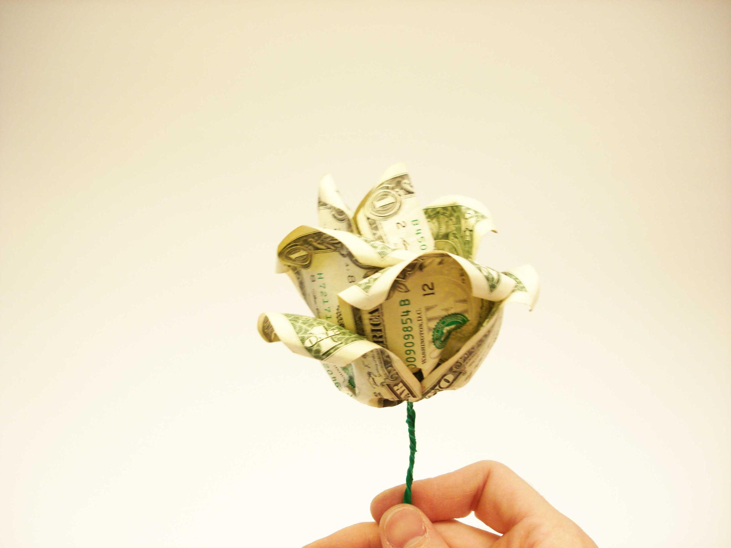 Dollar Bill Flower Bouquet : 7 Steps (with Pictures) - Instructables