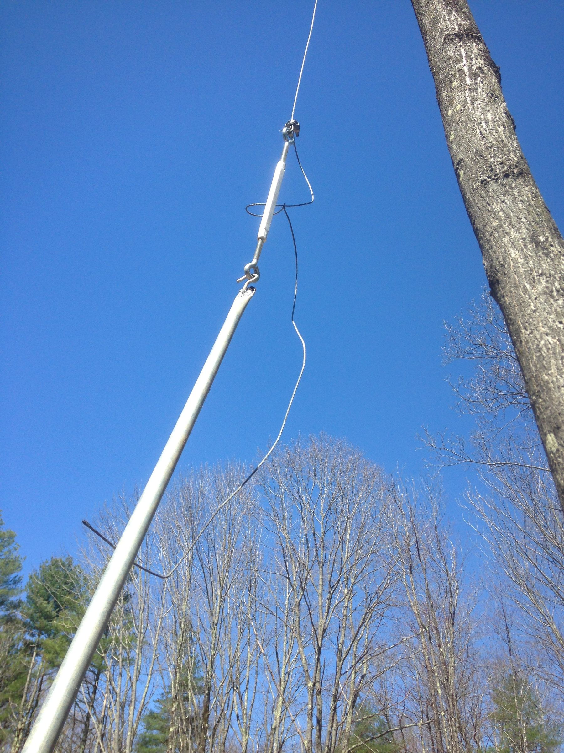 Growing Hops at Home : 9 Steps (with Pictures) - Instructables