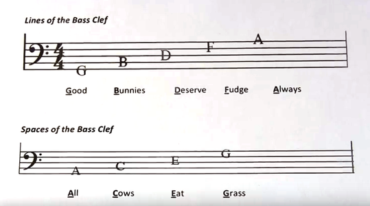 How to Read Notes on the Staff for Beginning Pianists : 5 Steps ...