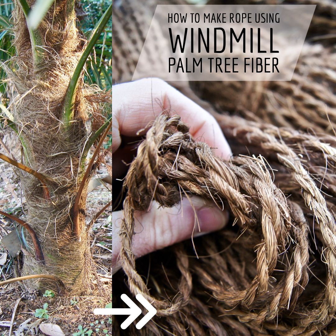 How to Make Rope Using Windmill Palm Tree Fiber! : 6 Steps (with ...