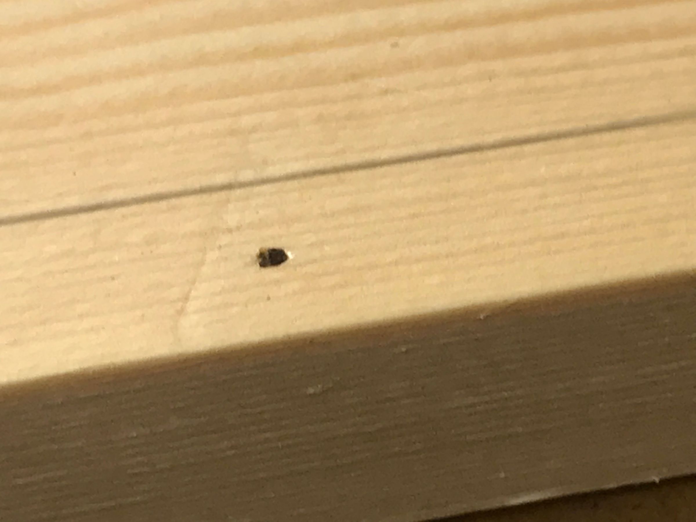 Chess Board With Rice: Exponential Growth : 11 Steps (with Pictures ...