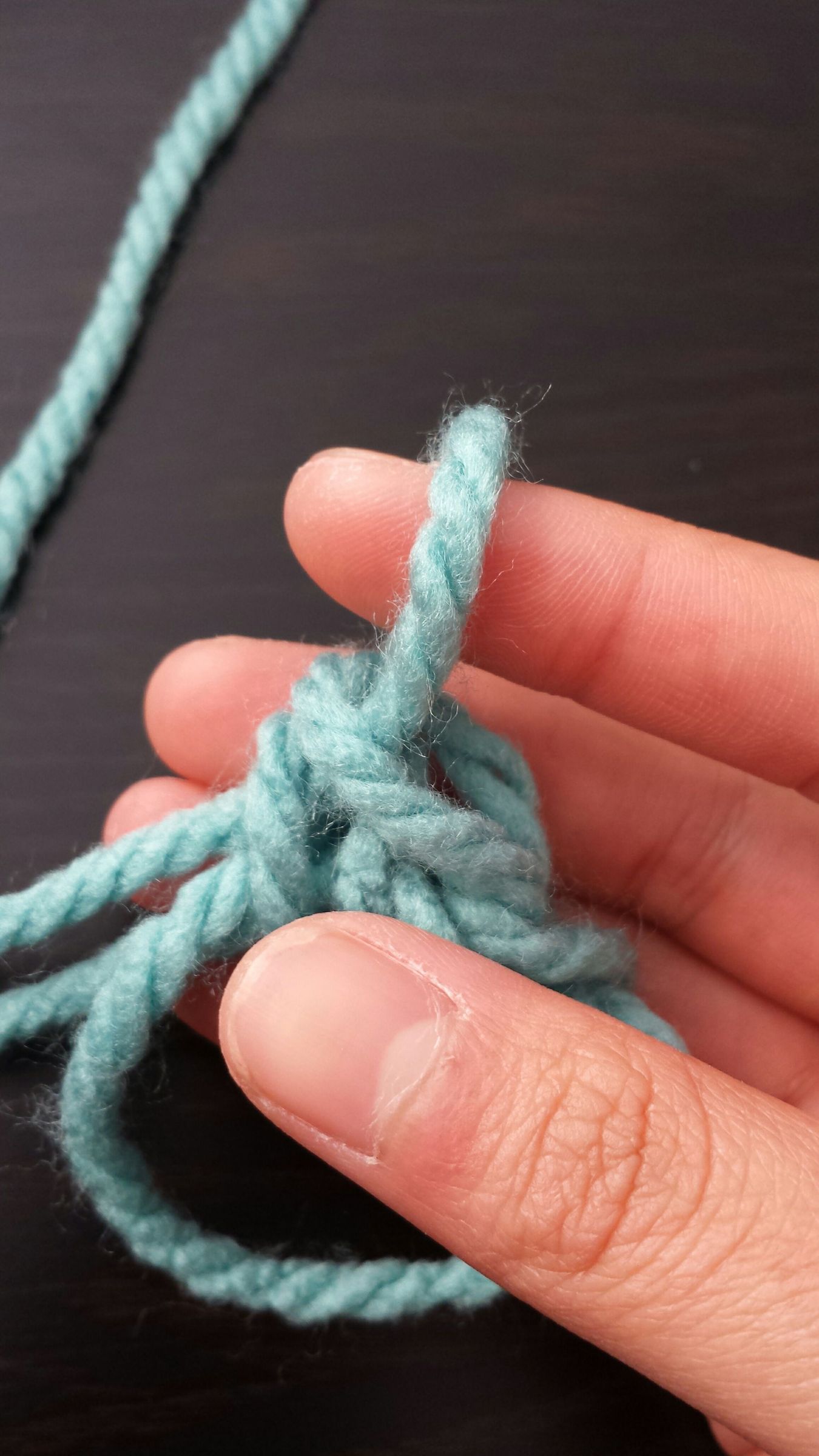 Finger Crochet: an Intro : 15 Steps (with Pictures) - Instructables