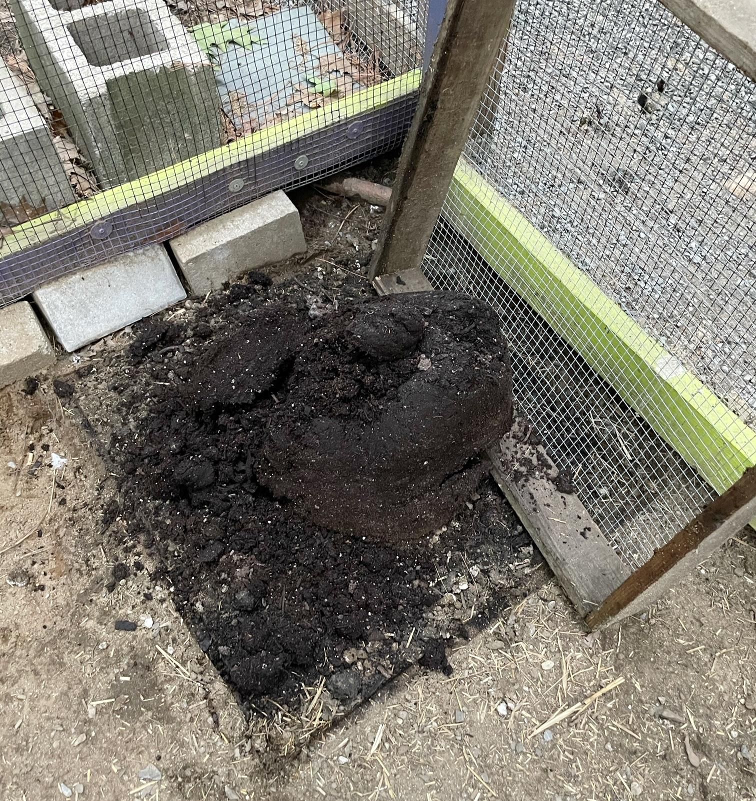 Grazing Frame for Backyard Chickens : 5 Steps (with Pictures ...