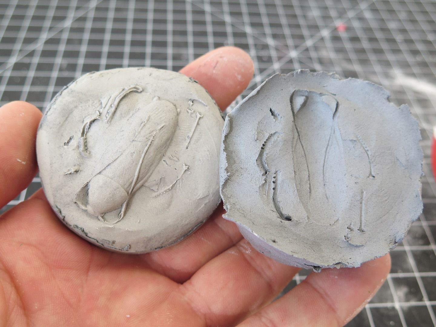 Homemade Fossils! : 5 Steps (with Pictures) - Instructables