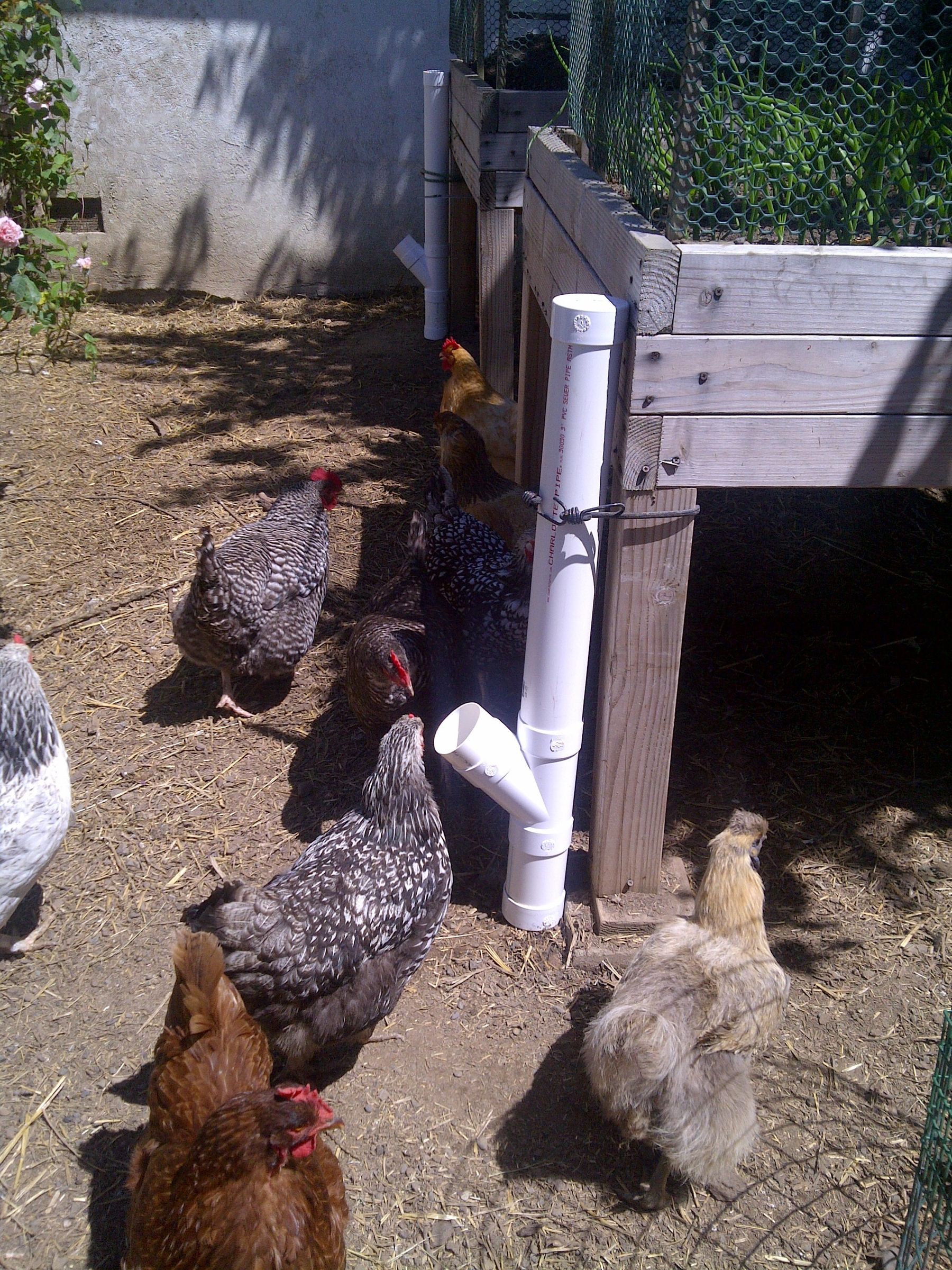 PVC Chicken Feeder : 4 Steps (with Pictures) - Instructables