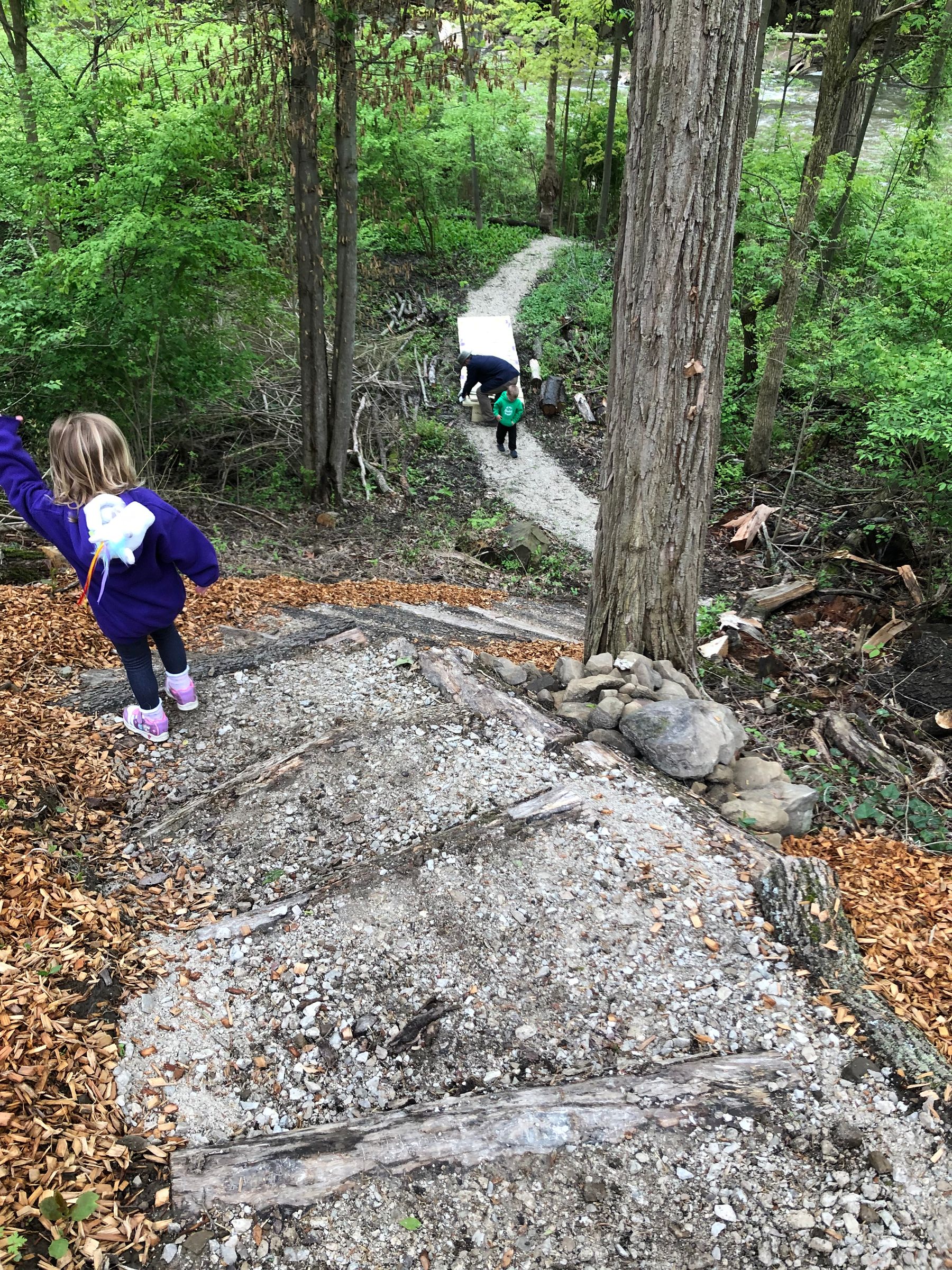 Log Path Cut Into a Hill : 5 Steps (with Pictures) - Instructables