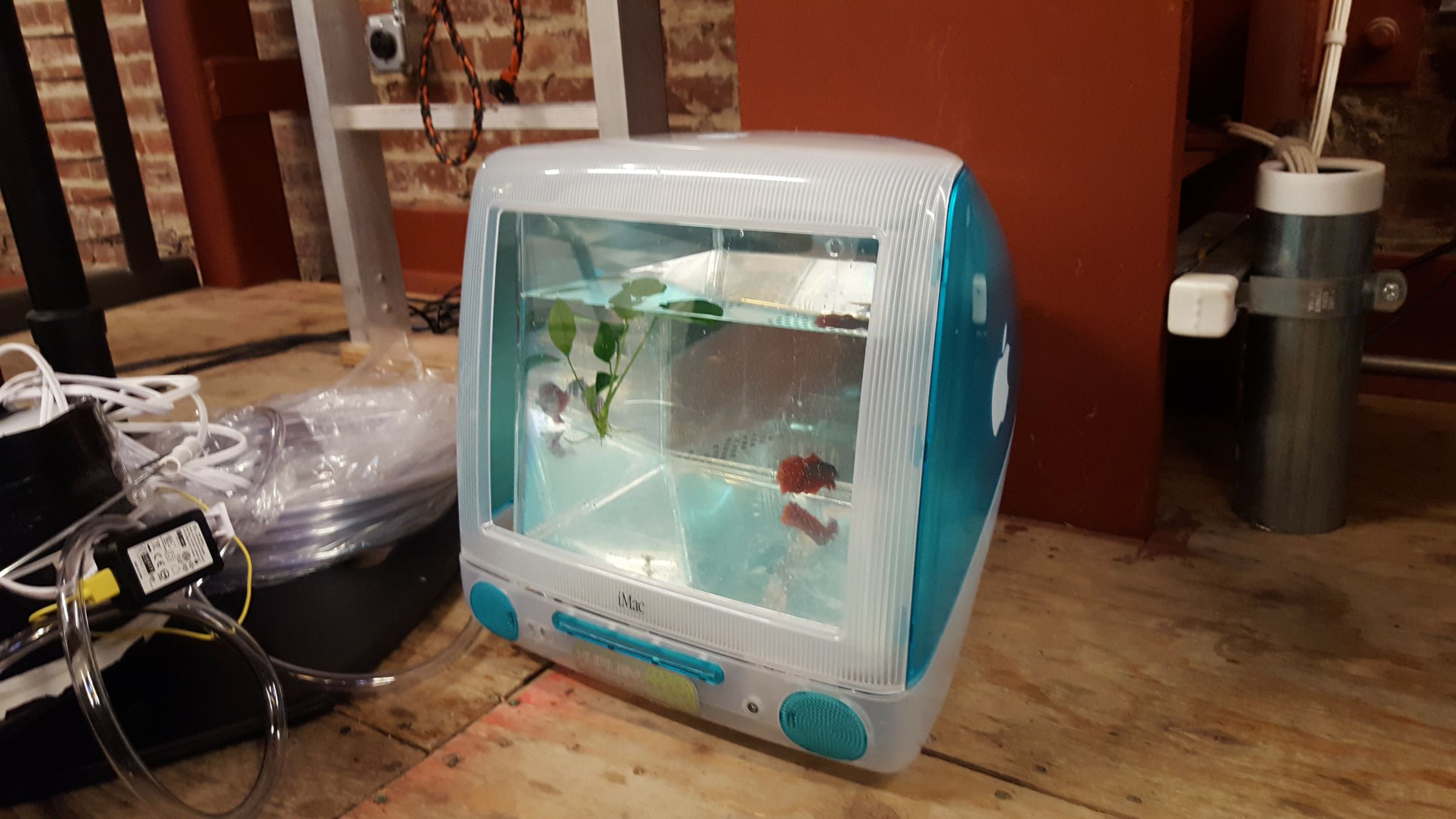 30 Fabulous Fish Tank and Aquarium Ideas