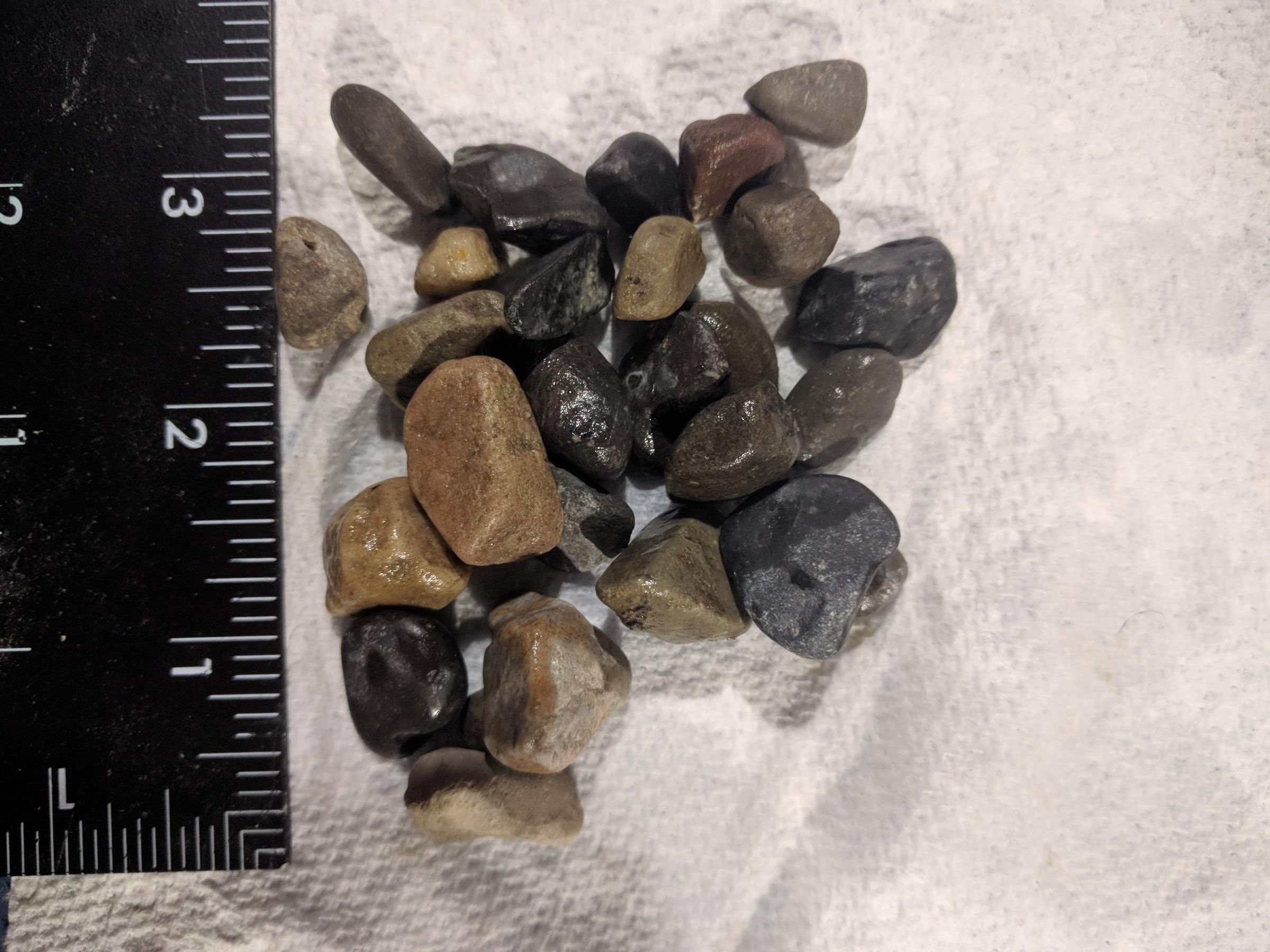 Modular Hydroponics System : 7 Steps (with Pictures) - Instructables