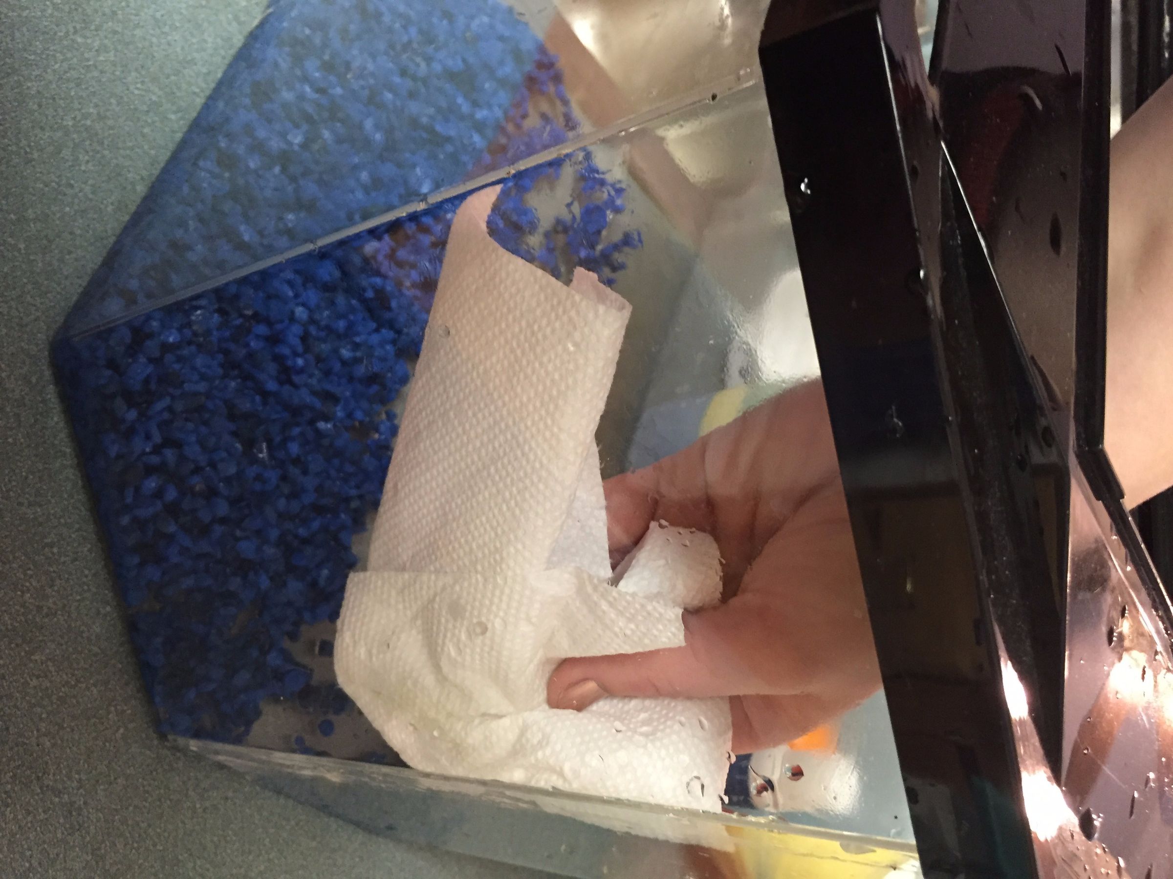 How to Clean Your Small Fish Tank : 7 Steps (with Pictures) - Instructables