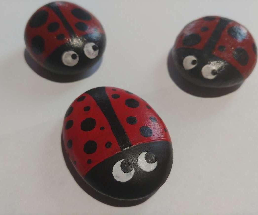 How to Paint a Cute, Decorative Ladybug : 10 Steps - Instructables