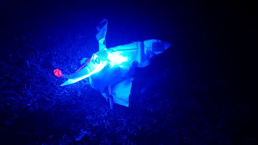 Flying Zero From Nightmare Before Christmas : 11 Steps (with Pictures ...