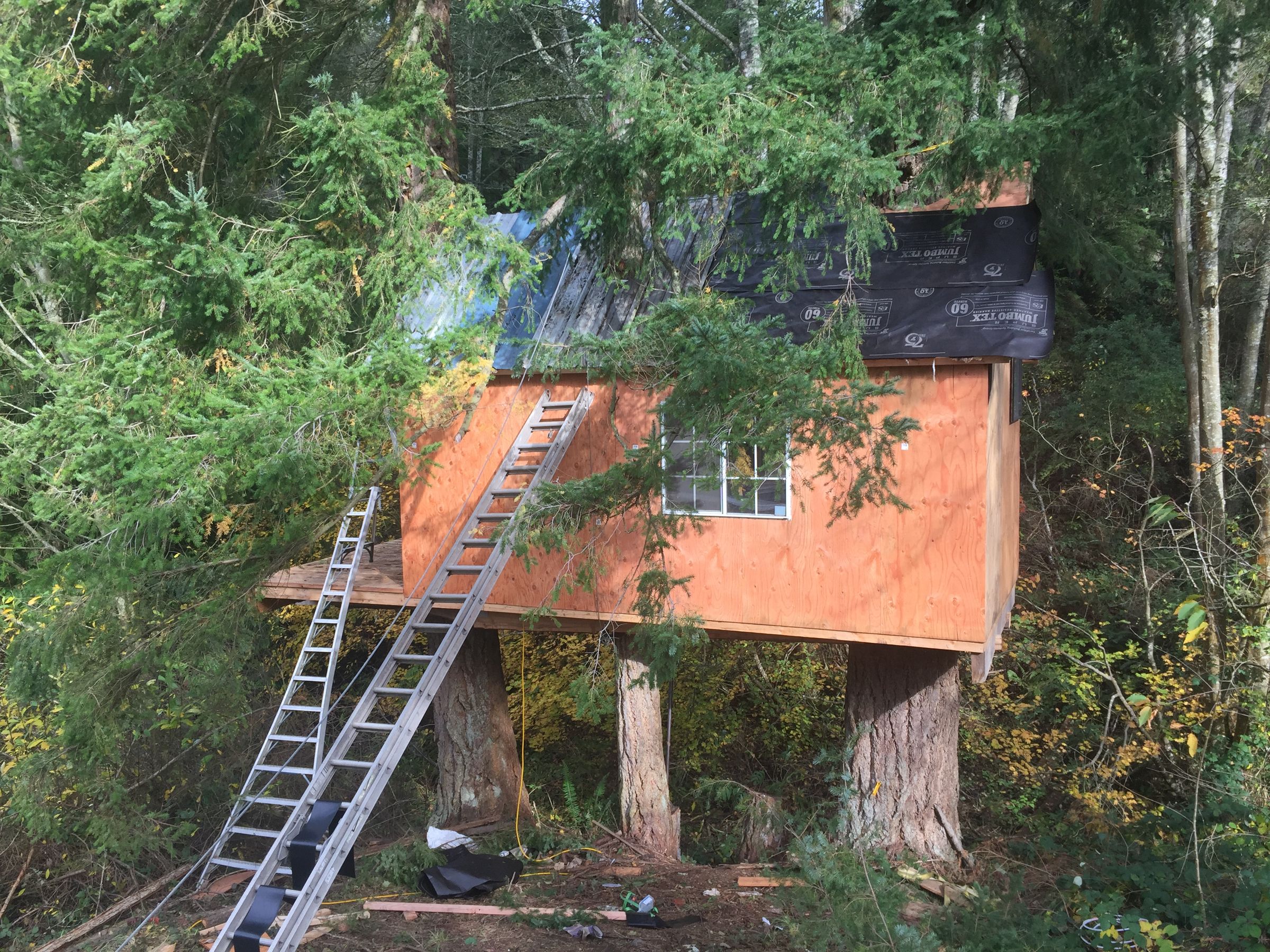 Treehouse Build : 10 Steps (with Pictures) - Instructables