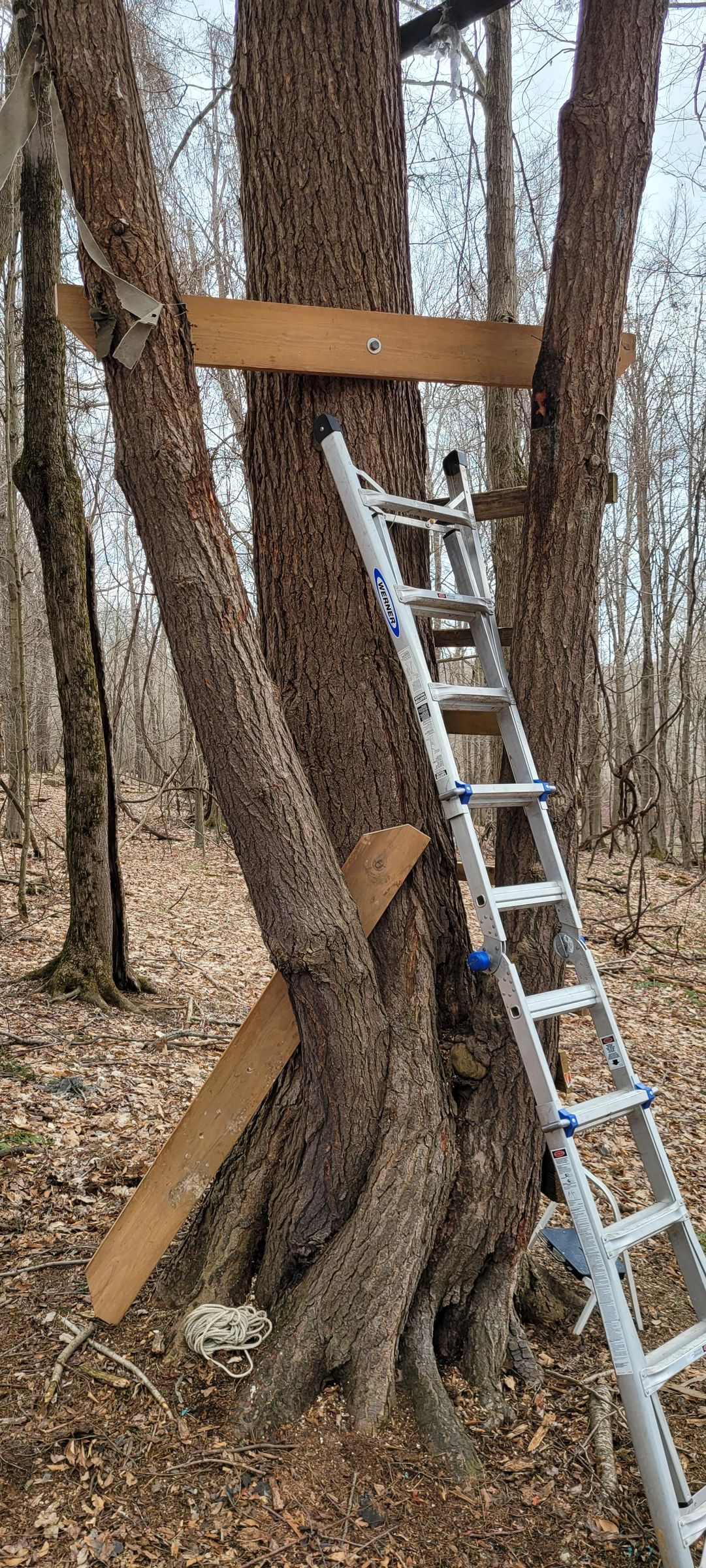 Tree Stand Blind : 12 Steps (with Pictures) - Instructables
