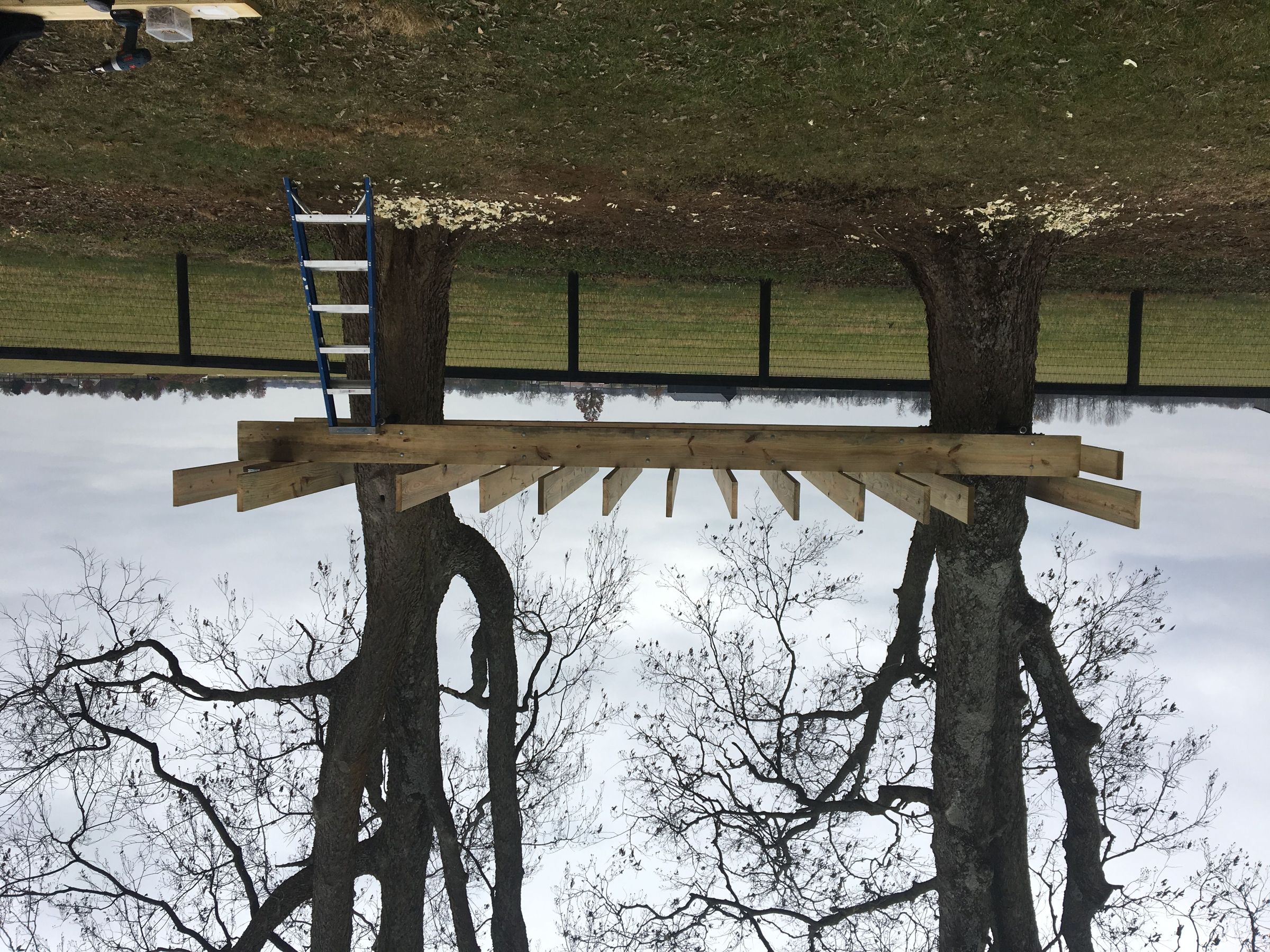 Epic Treehouse : 13 Steps (with Pictures) - Instructables