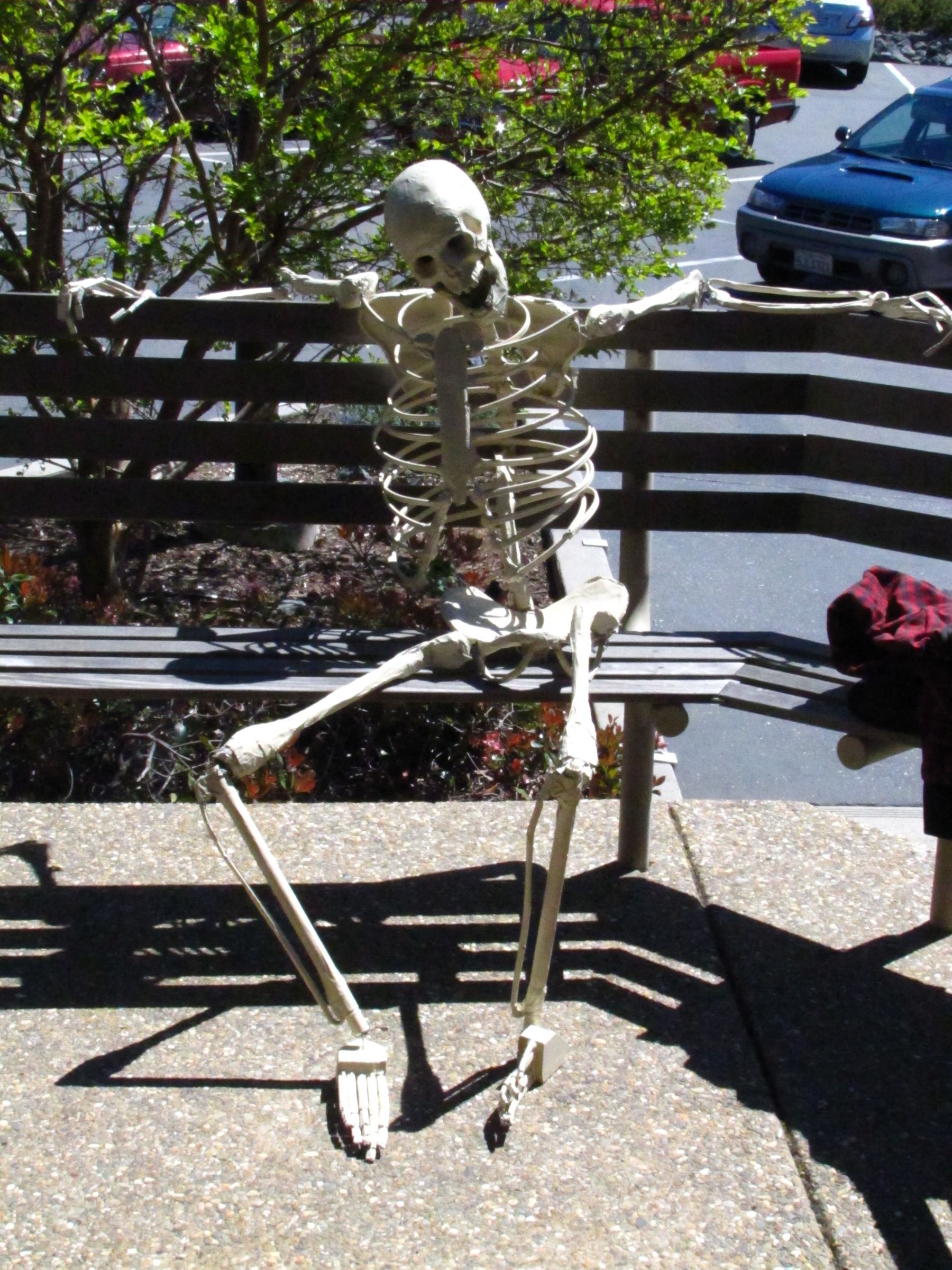 skeleton project DIY Project - Step-by-Step DIY Project | FindingDIY