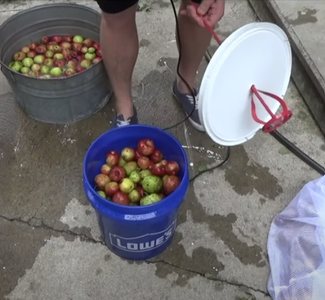 How to Make Apple Cider on a Budget With Everyday Items : 9 Steps (with ...