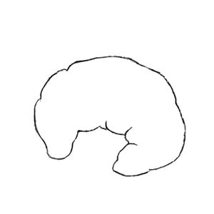 How to Draw a Croissant : 4 Steps - Instructables