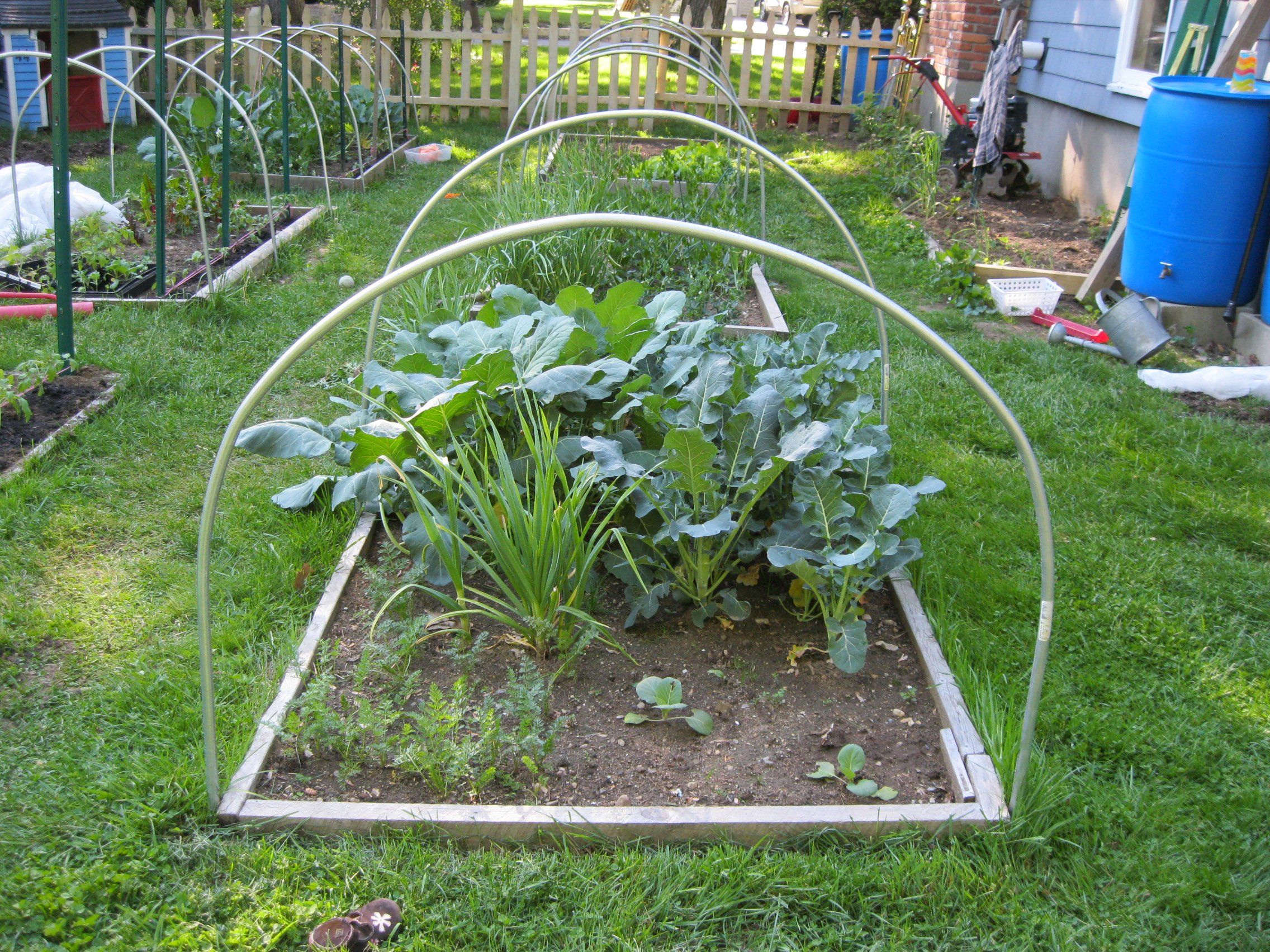Hoop Houses- Gardening All Year Long in New England. : 4 Steps (with ...