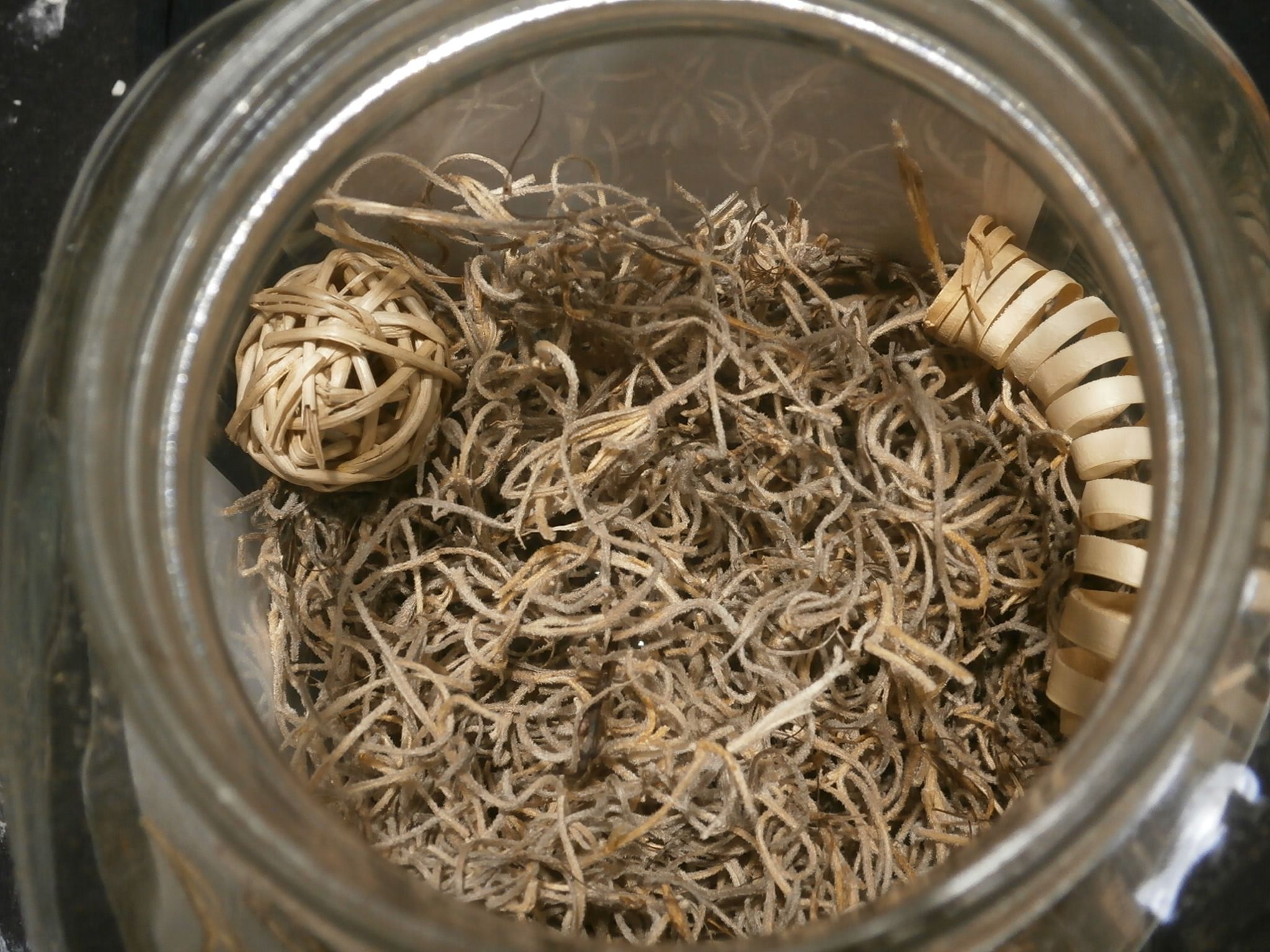 Food Dice; Dinner Deciding Dice : 6 Steps (with Pictures) - Instructables