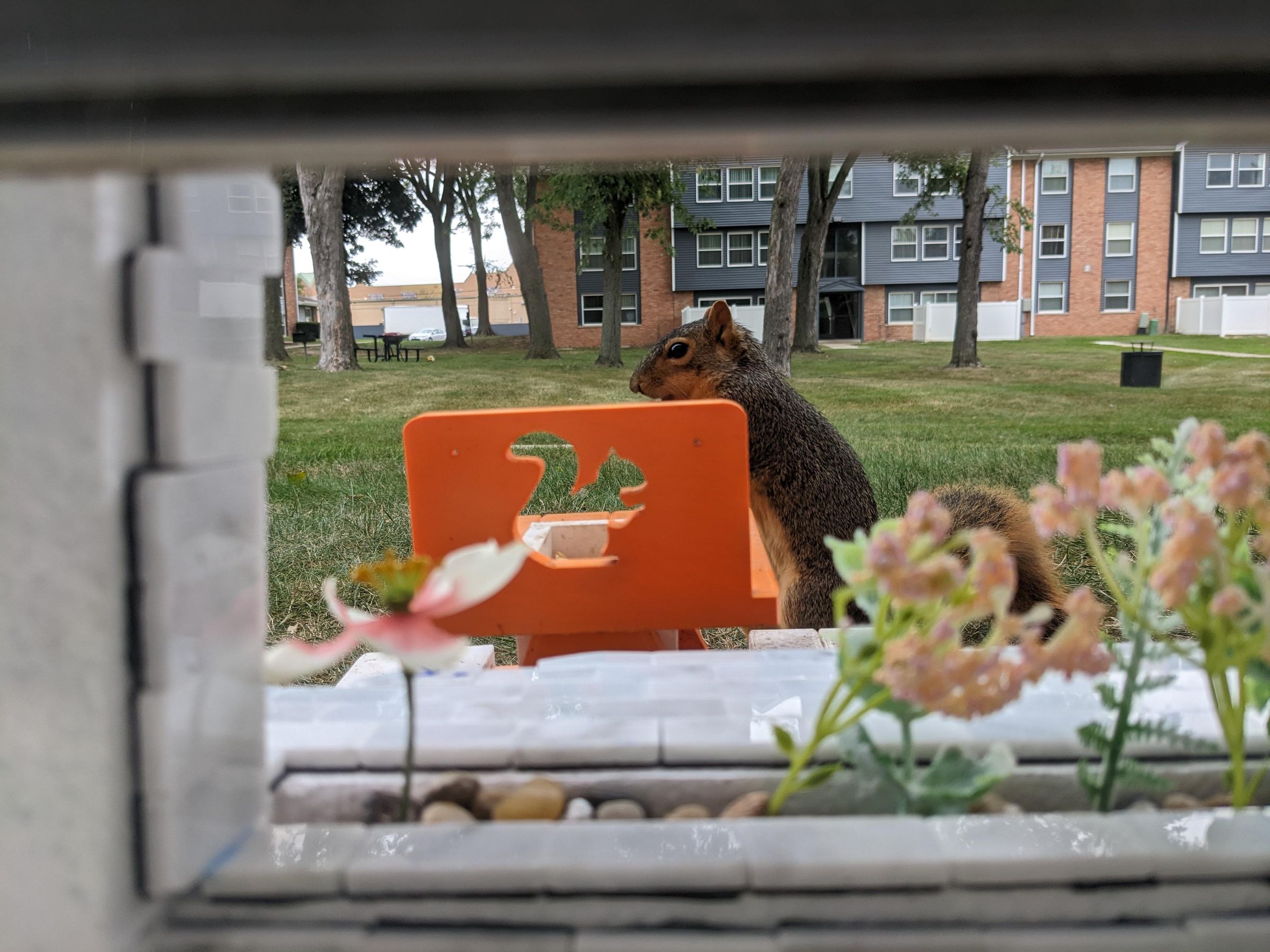 Making a Squirrel Cafe : 8 Steps (with Pictures) - Instructables