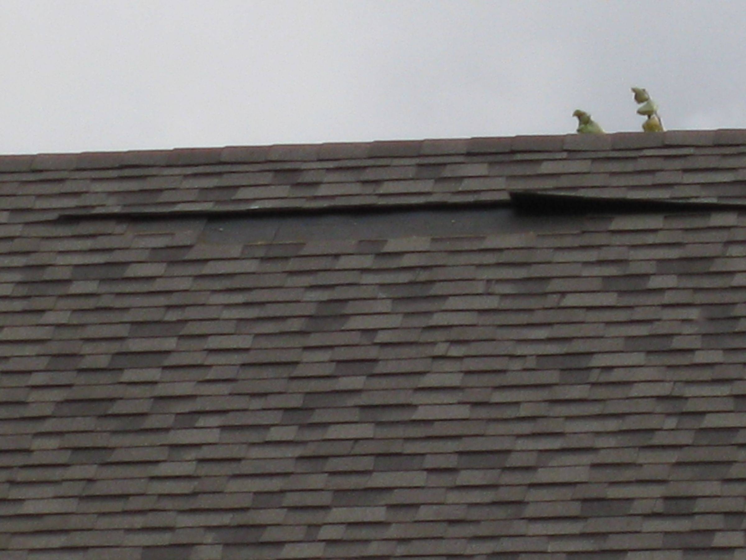 How to Replace a Damaged Shingle : 8 Steps (with Pictures) - Instructables