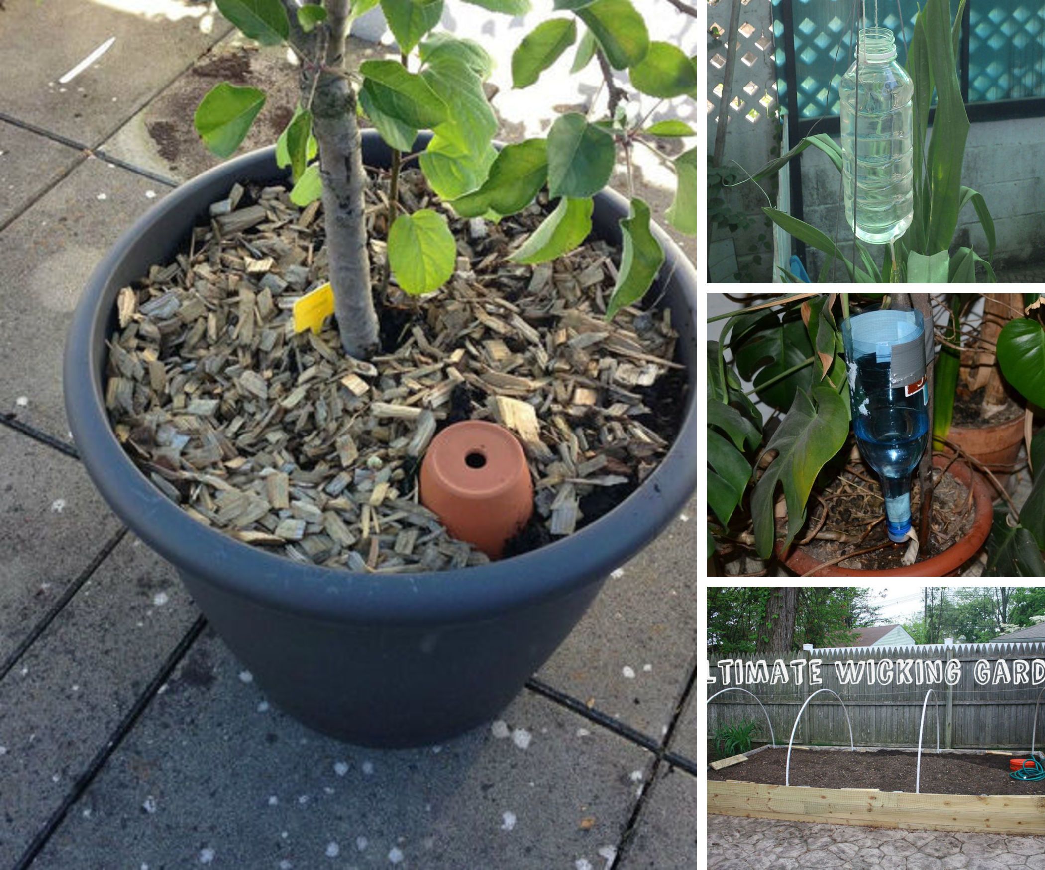 Garden - Instructables