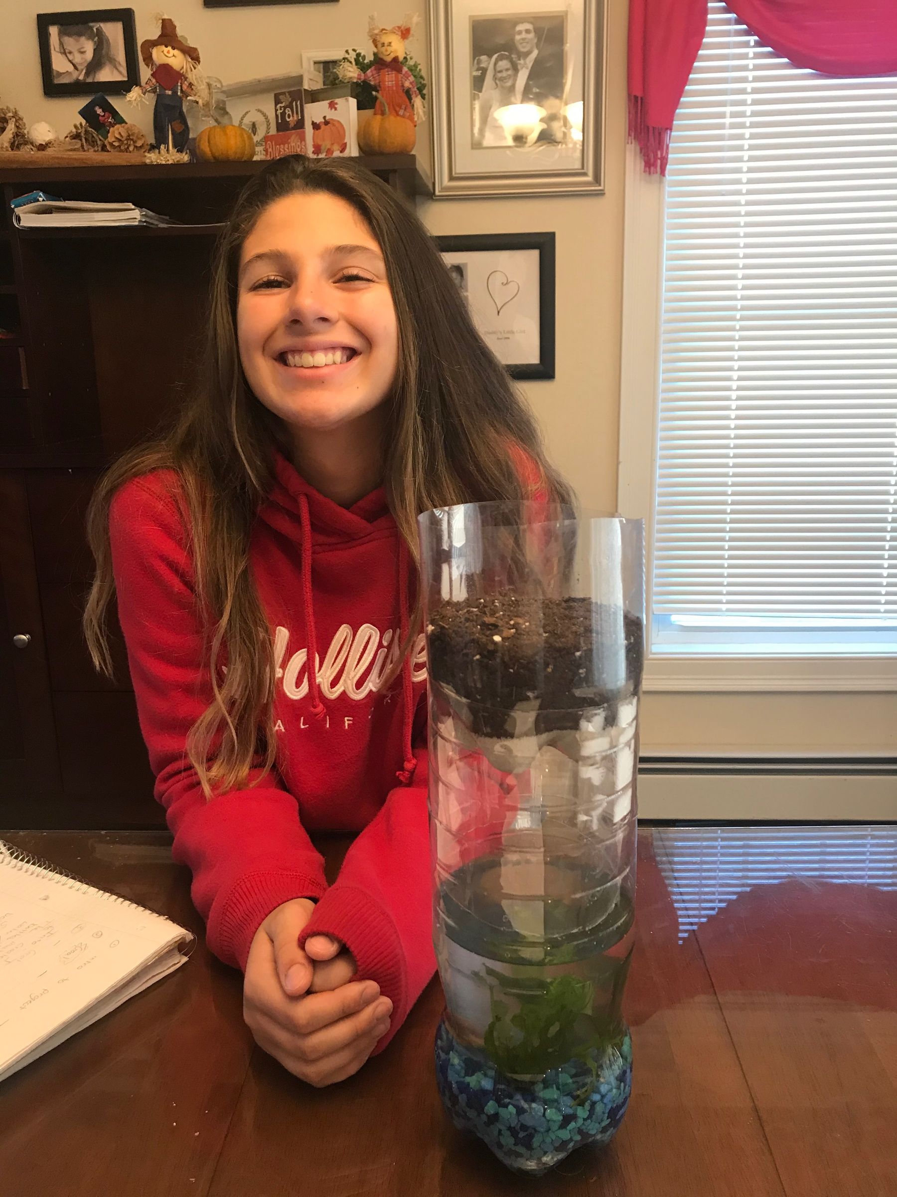 Ecosystem in a Bottle : 11 Steps (with Pictures) - Instructables