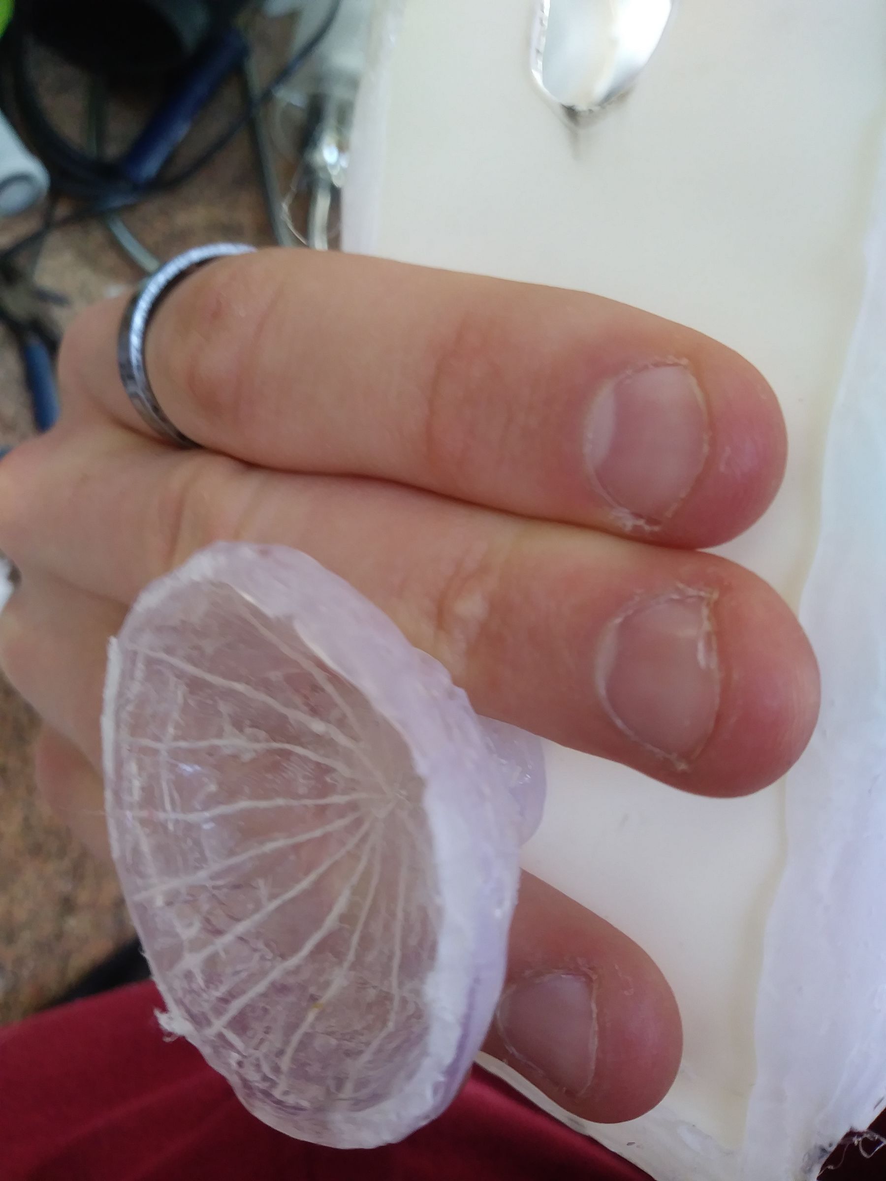 How to Make a (Popping) Popsocket : 10 Steps - Instructables