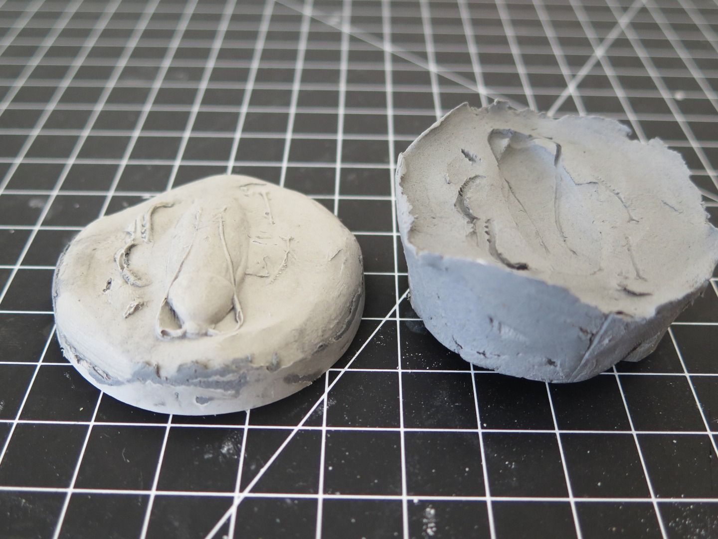Homemade Fossils! : 5 Steps (with Pictures) - Instructables
