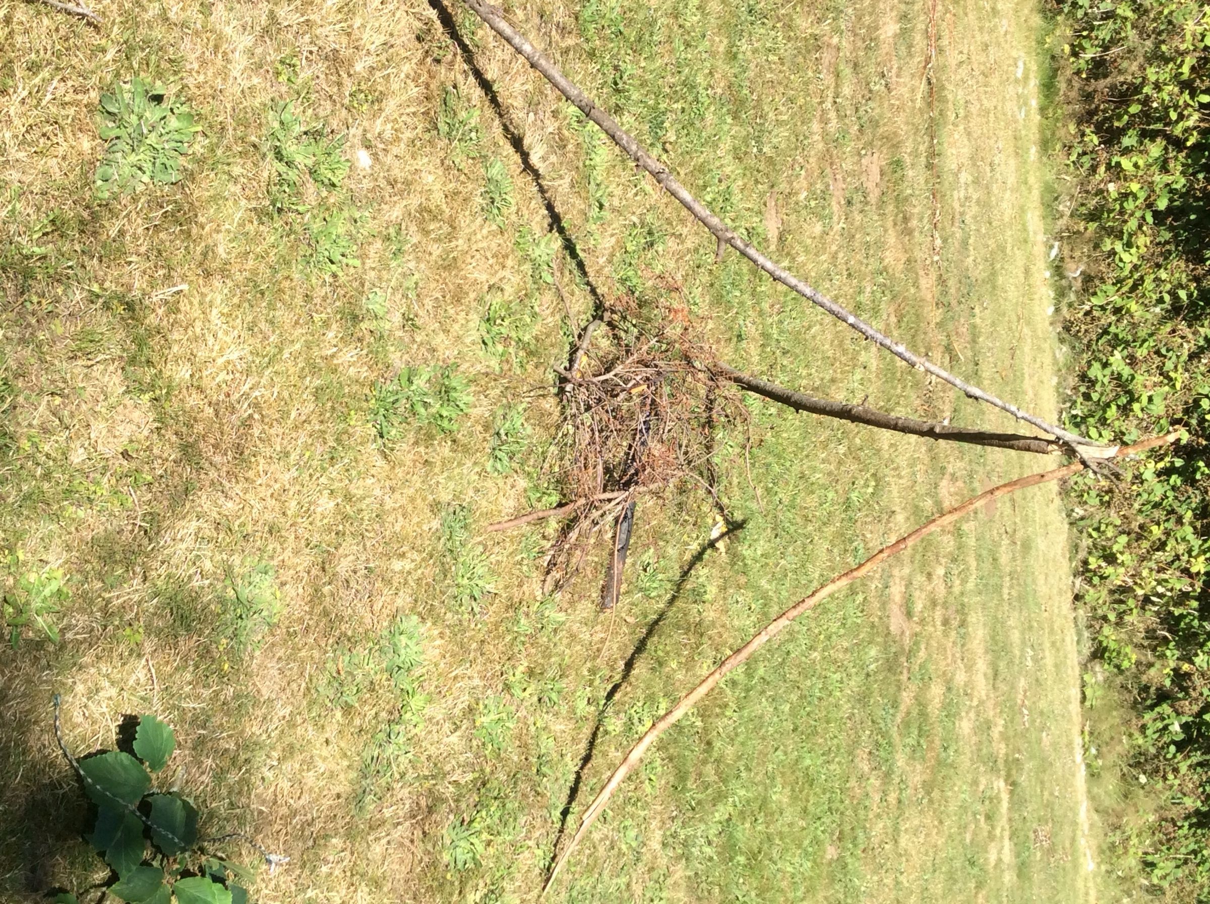 Survival Signal Fire : 5 Steps (with Pictures) - Instructables