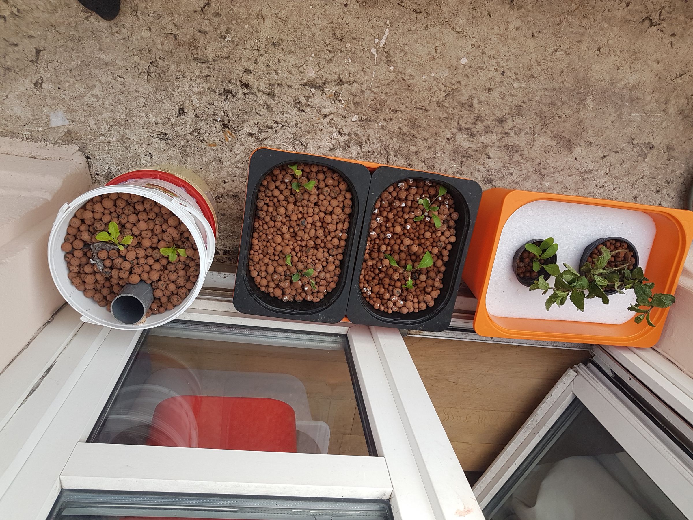 First Timer Hydroponics: the Raft System : 8 Steps (with Pictures ...