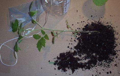 Matt's Original Inverted Planter A.k.a IPlanter. : 15 Steps (with ...
