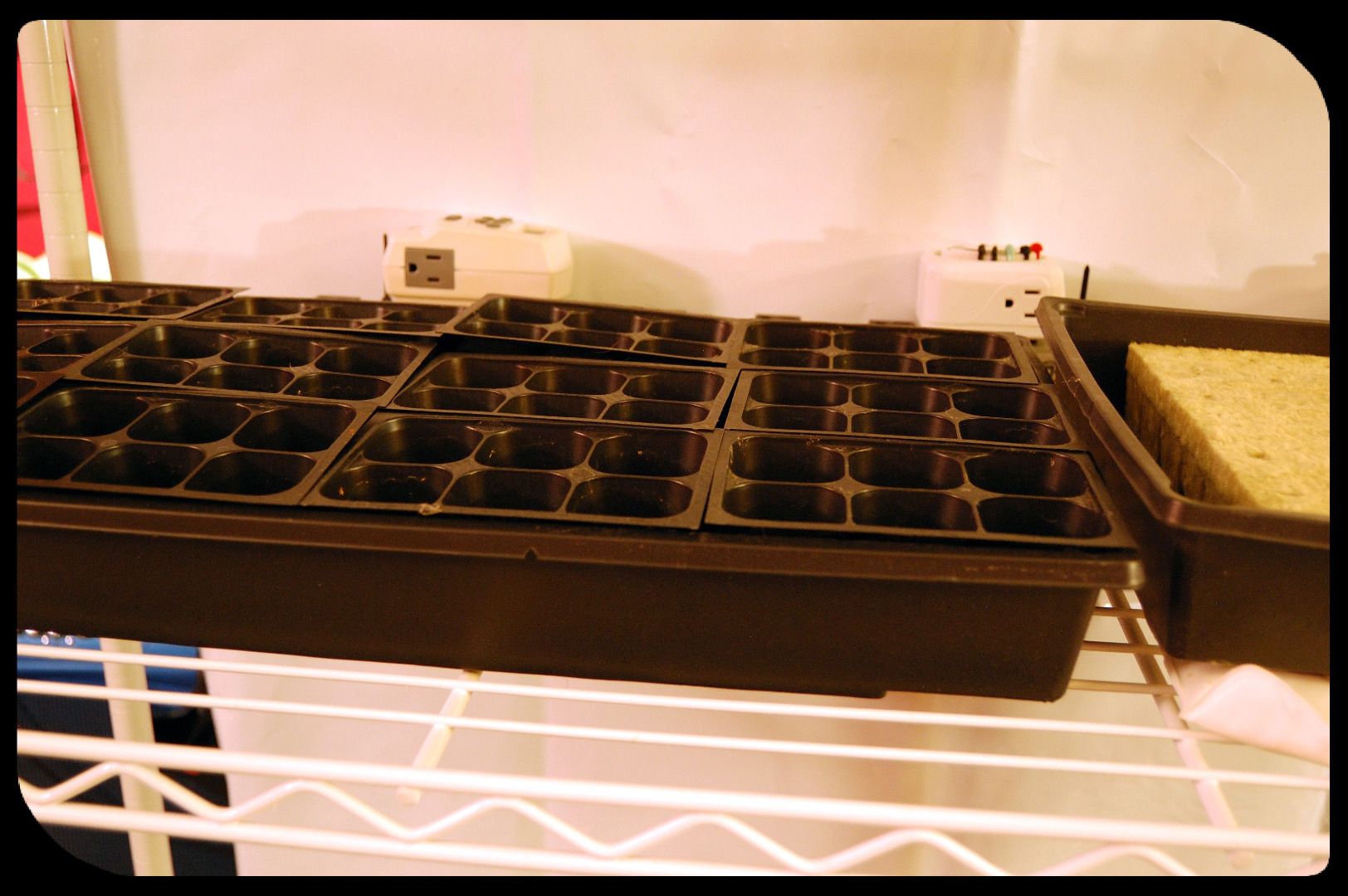 Hydroponics Setup on Wheels : 11 Steps (with Pictures) - Instructables