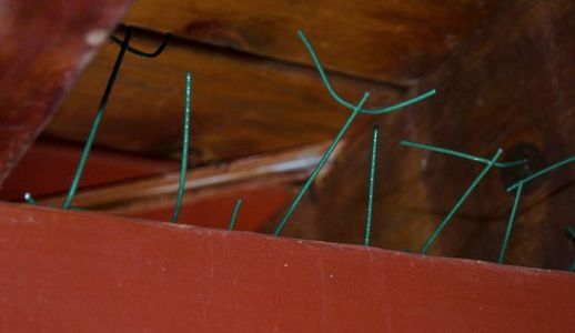 DIY Bird Spikes : 7 Steps (with Pictures) - Instructables
