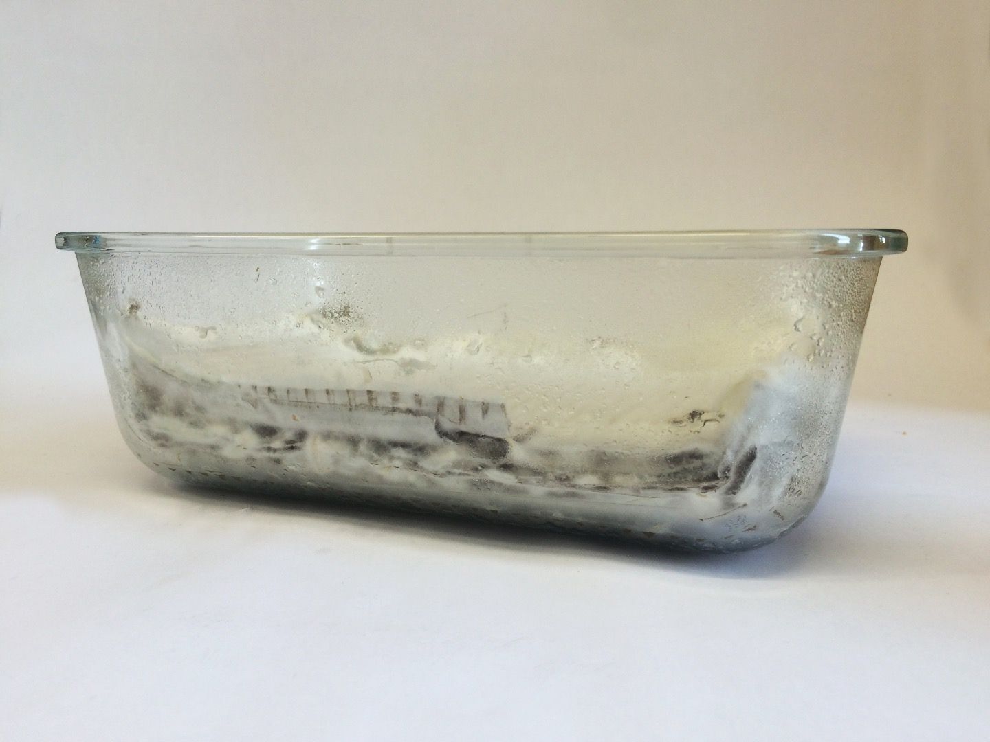 Making Mycelium : 5 Steps (with Pictures) - Instructables