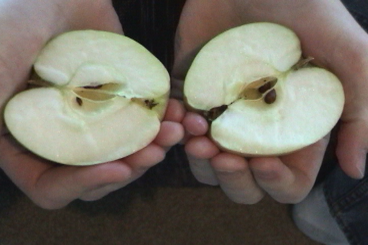 Crack an Apple in Half With Your Bare Hands : 4 Steps (with Pictures ...