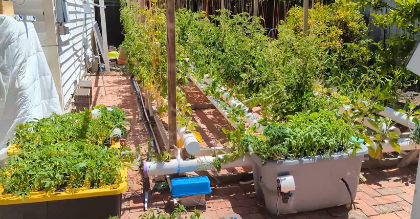 Home Built Hydroponics Growing System : 6 Steps (with Pictures ...