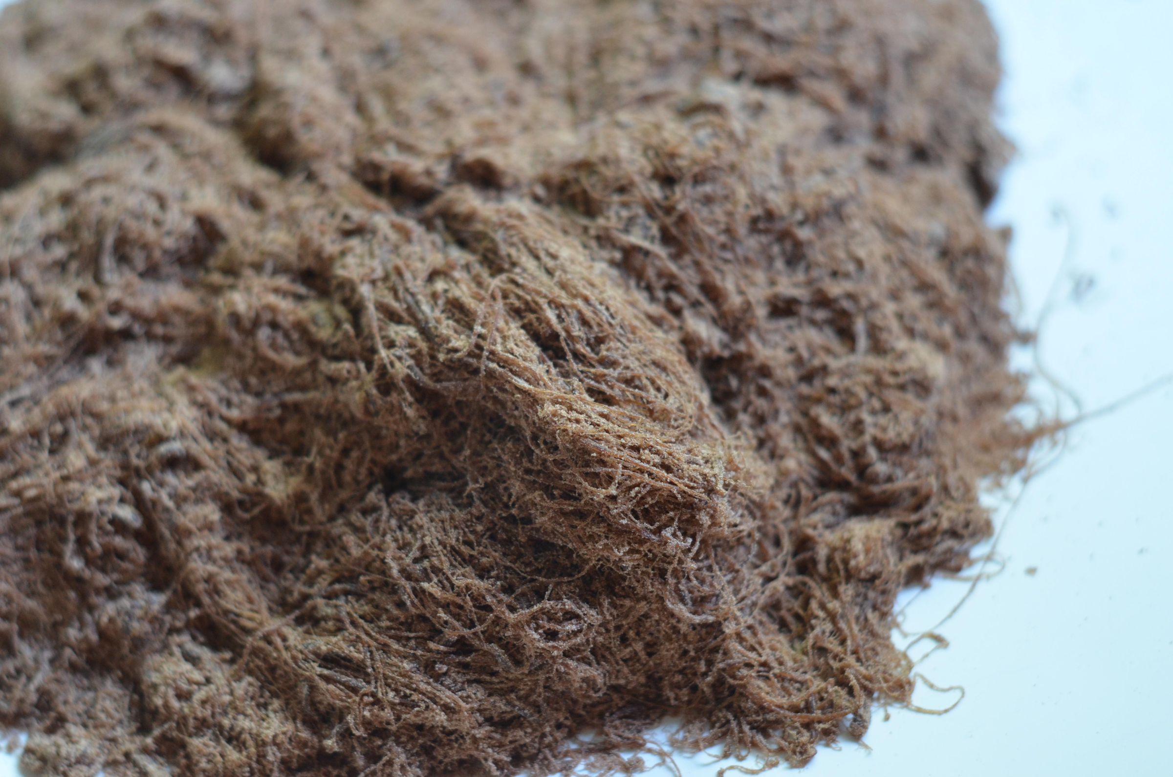 Hand-Pulled Chocolate Cotton Candy : 7 Steps (with Pictures ...