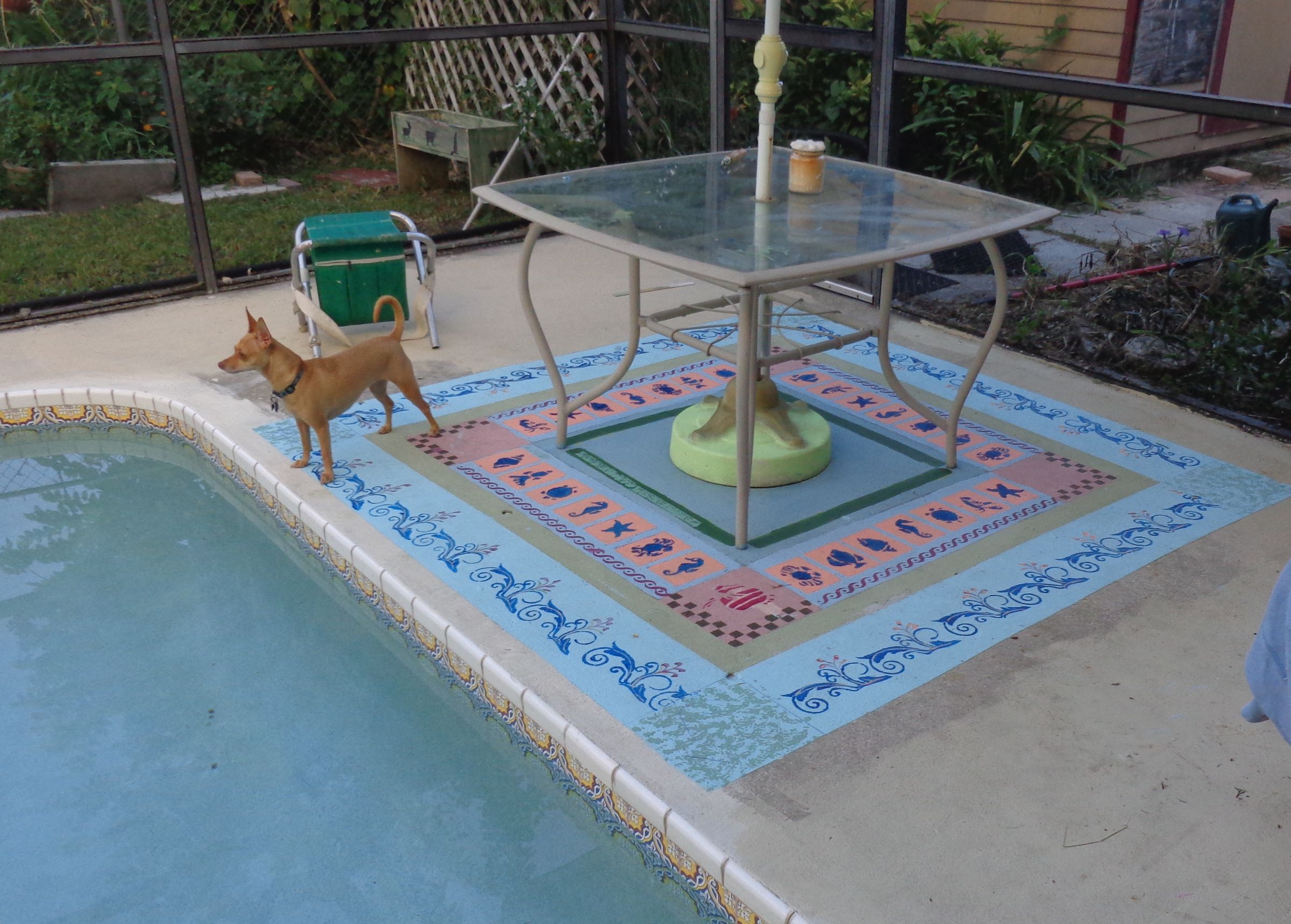 Paint a Concrete Rug : 5 Steps (with Pictures) - Instructables