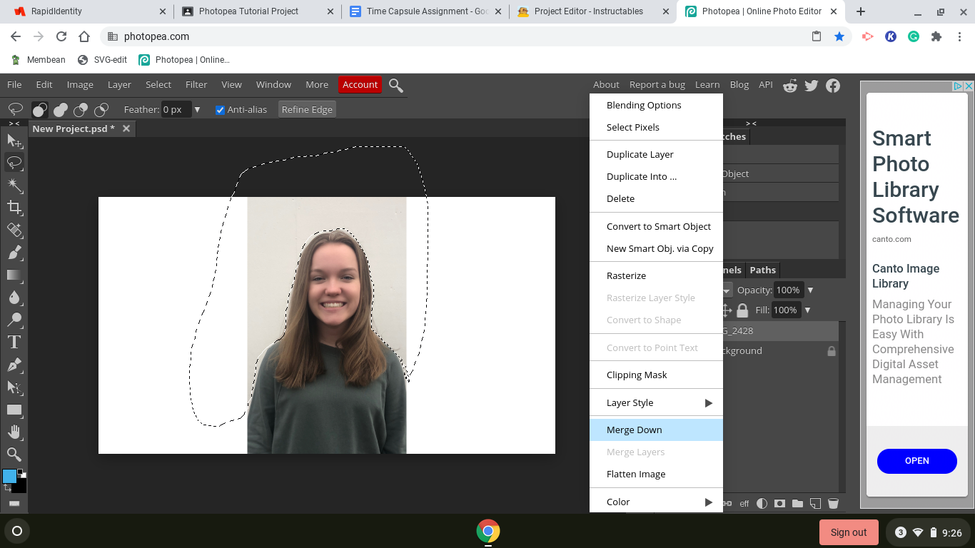 How to Edit the Background of Photos on Photopea : 5 Steps - Instructables