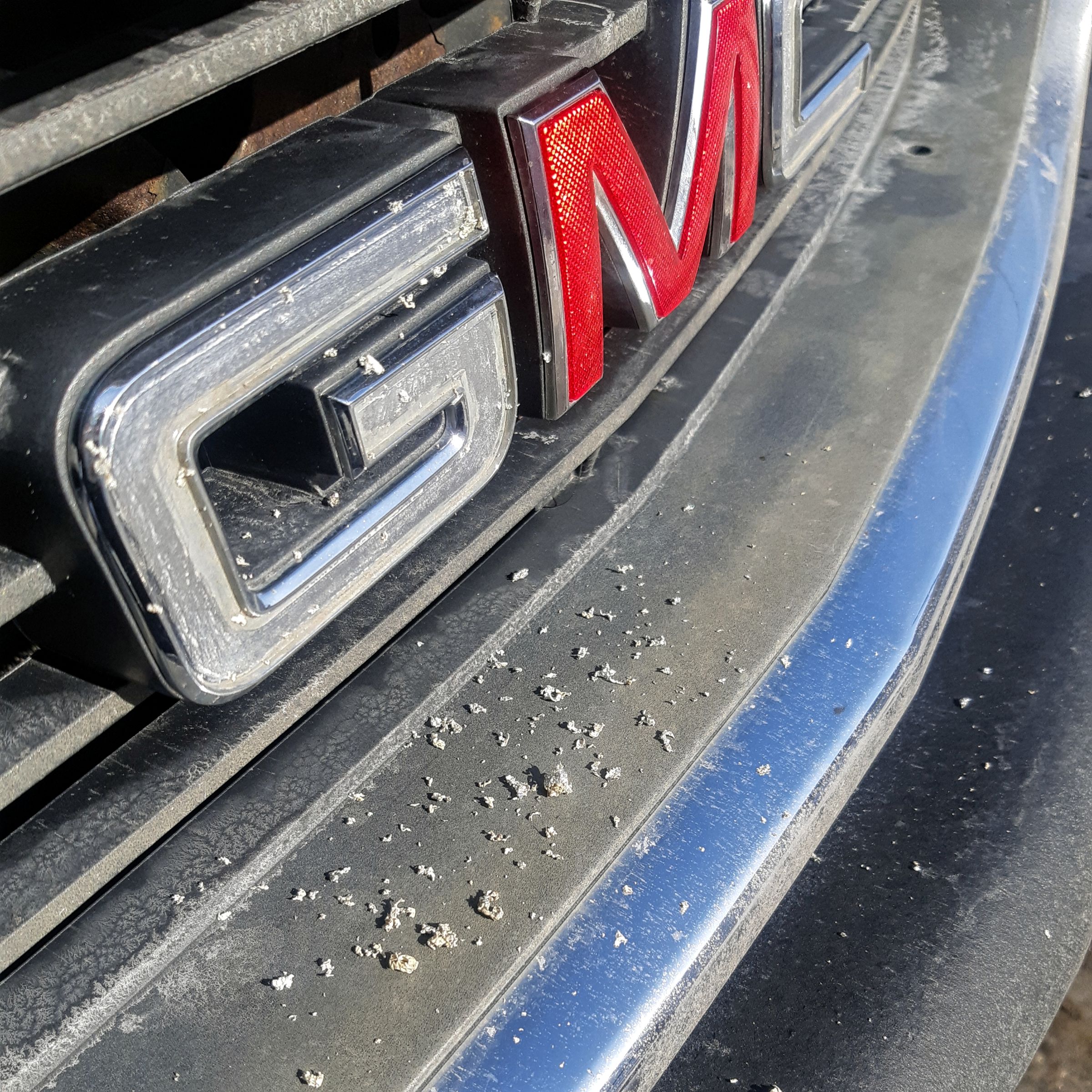 Casting Replacement Vehicle Emblems : 11 Steps (with Pictures ...