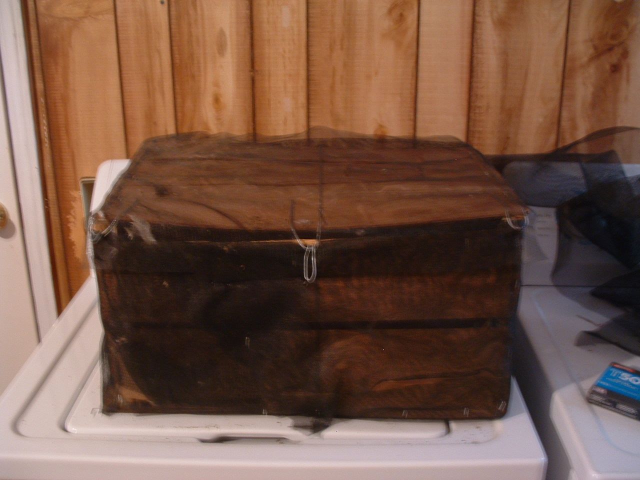 How to Make a Cricket Trap : 6 Steps - Instructables