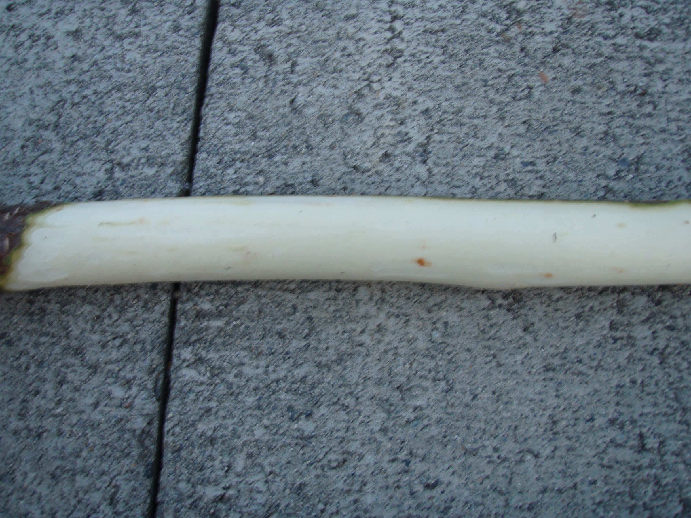 Carve a Staff / Walking Stick : 16 Steps (with Pictures) - Instructables